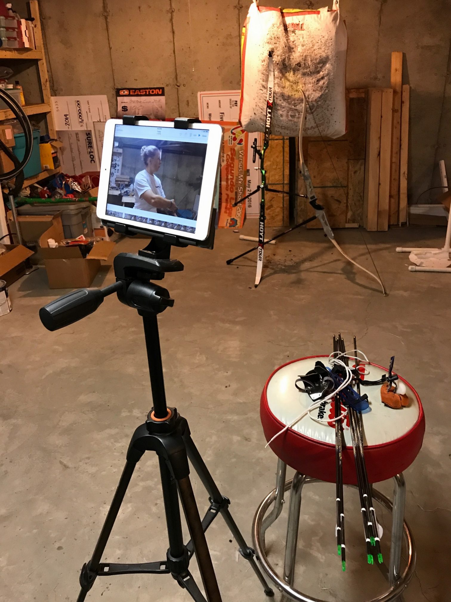 Just Keep Swimming…With the Gators – Crystal Gauvin