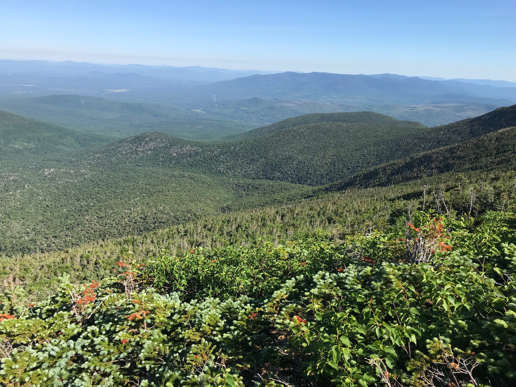 Recurve: It’s never a straight line – Crystal Gauvin